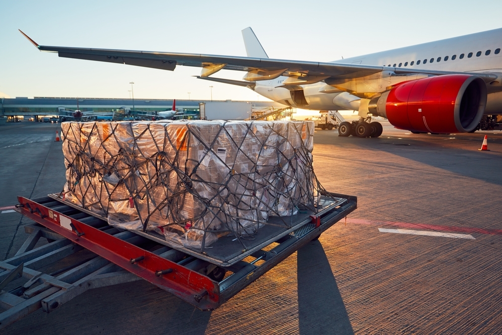 Update and a Primer on Cargo Liability for International Air Freight ...